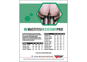 Accelerated Genetics - Dairy Flyers