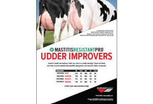 Accelerated Genetics - Dairy Flyers