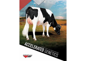 Accelerated Genetics - Dairy Directories